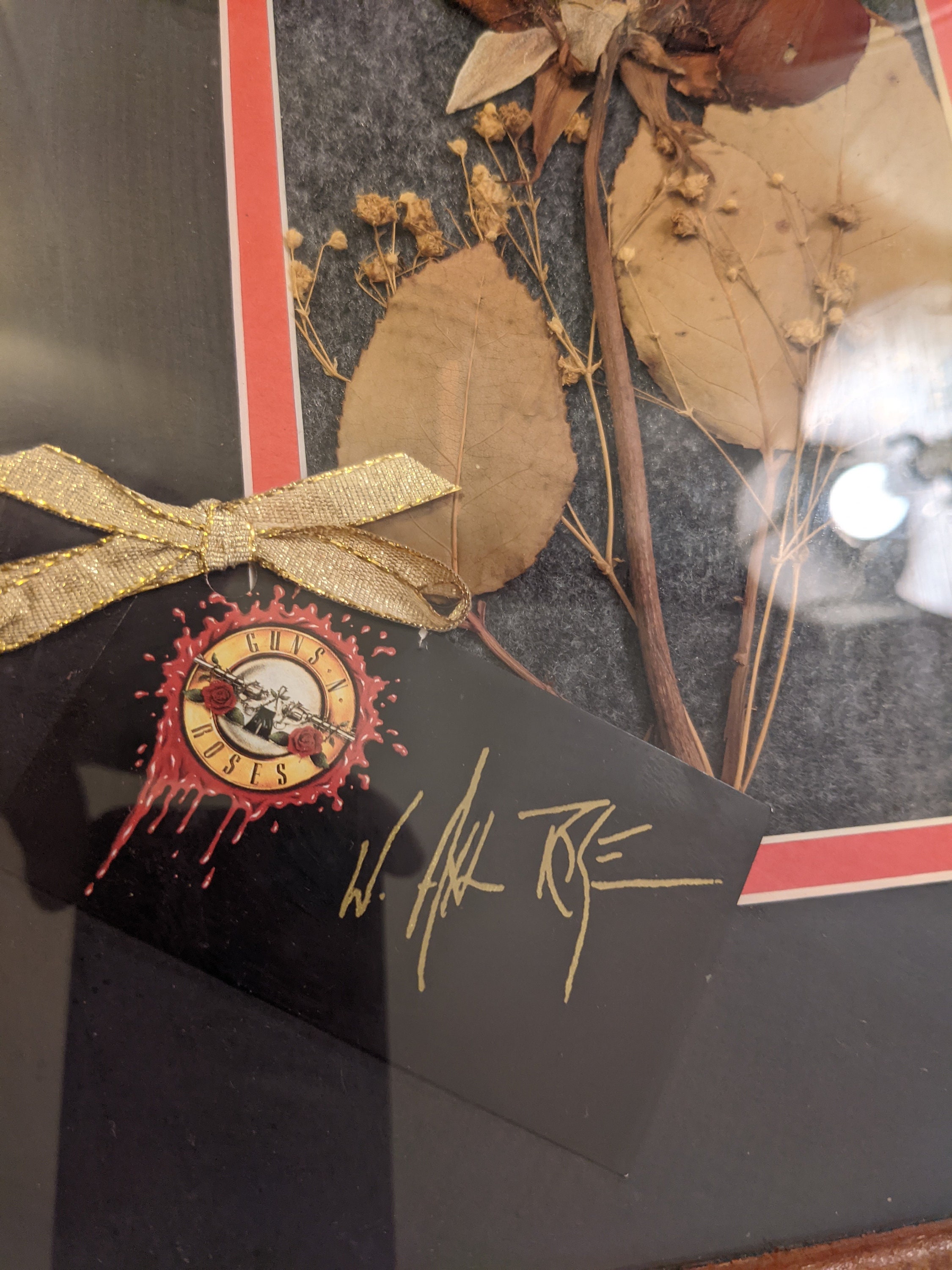Framed W. Axl Rose Signature With Rose - Etsy
