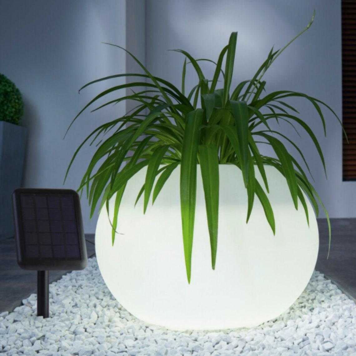 Plant Bowl LED Plant Bowl Illuminated Light Ball Bowl for - Etsy