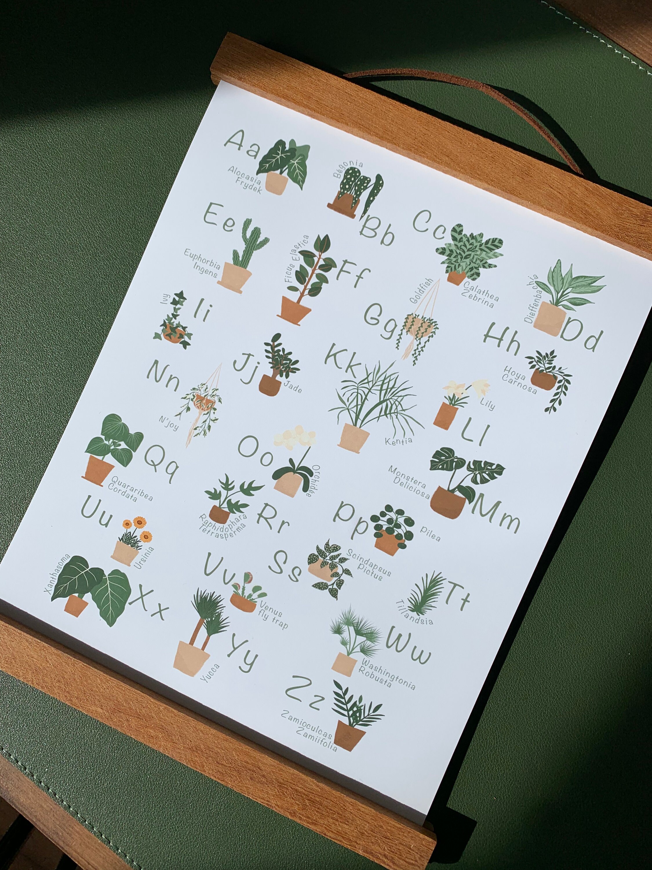 Plant Alphabet Abc Primer Plant Poster Boho Poster - Etsy