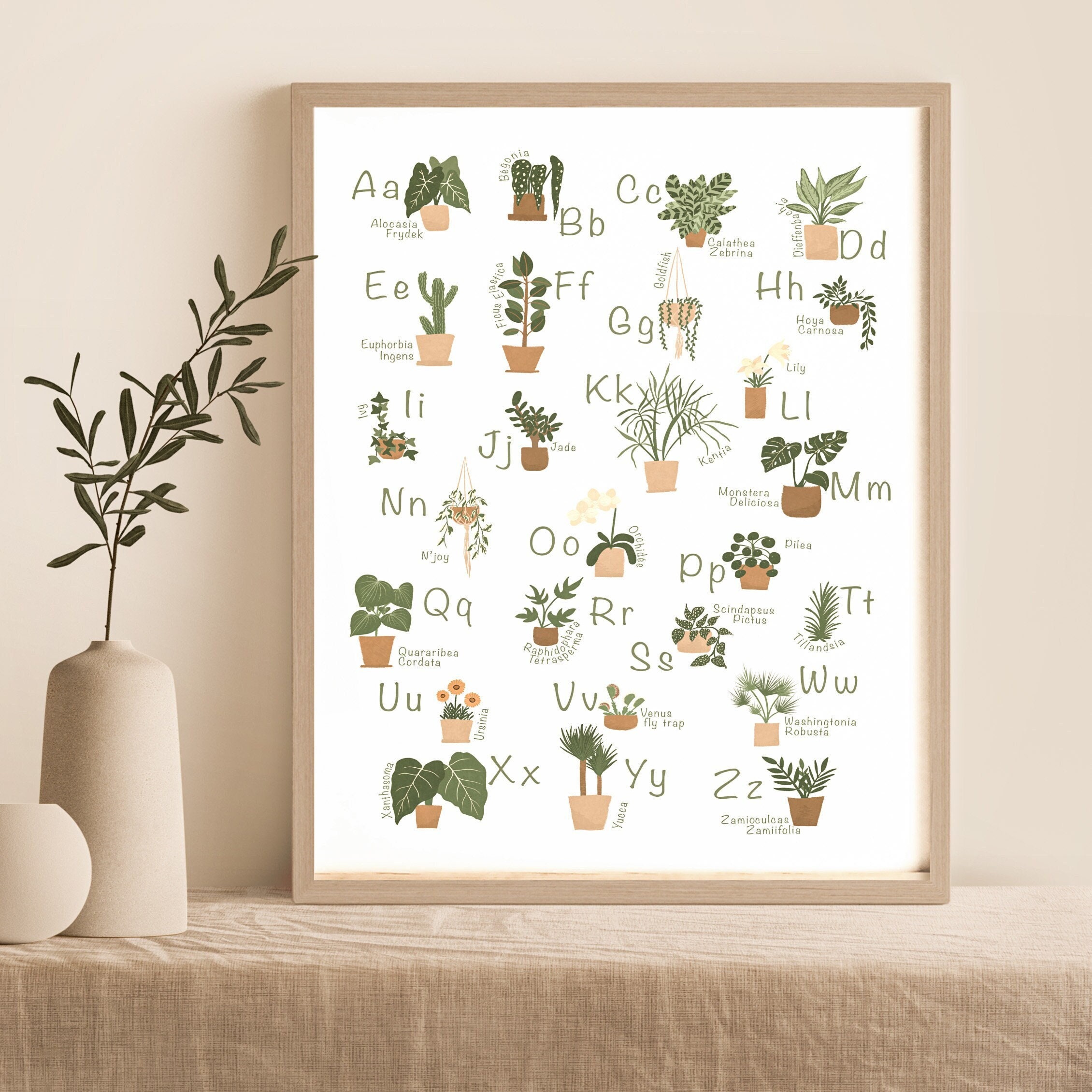 Plant Alphabet Abc Primer Plant Poster Boho Poster - Etsy