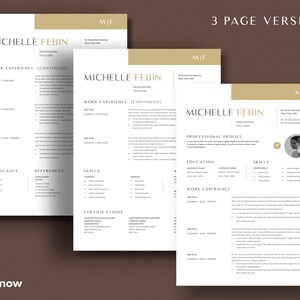 Resume Template Google Docs & Word, Professional Cv Template, Executive Resume 2023, Creative ...