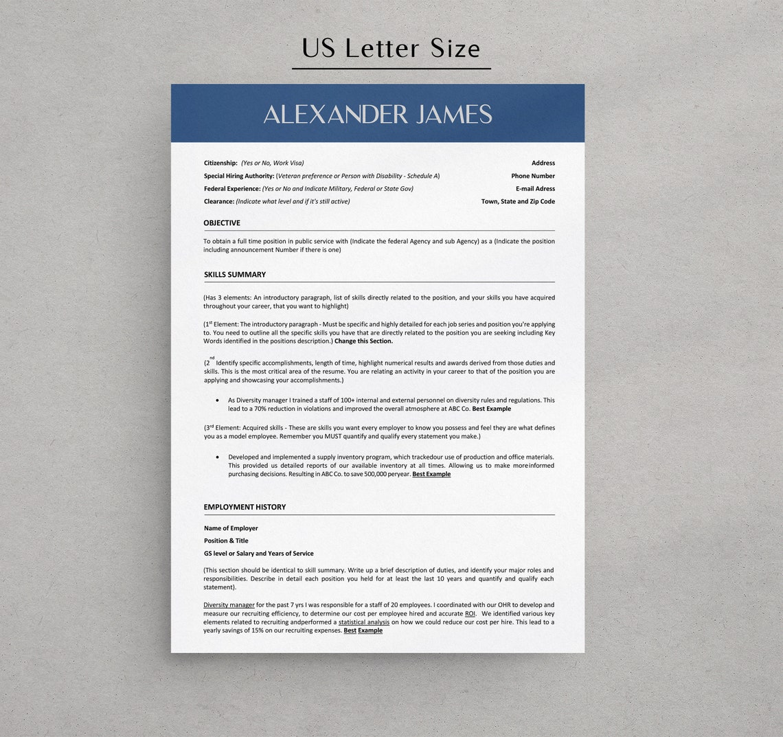 Federal Resume Templates Word, Resume Federal Government Format, Best ...