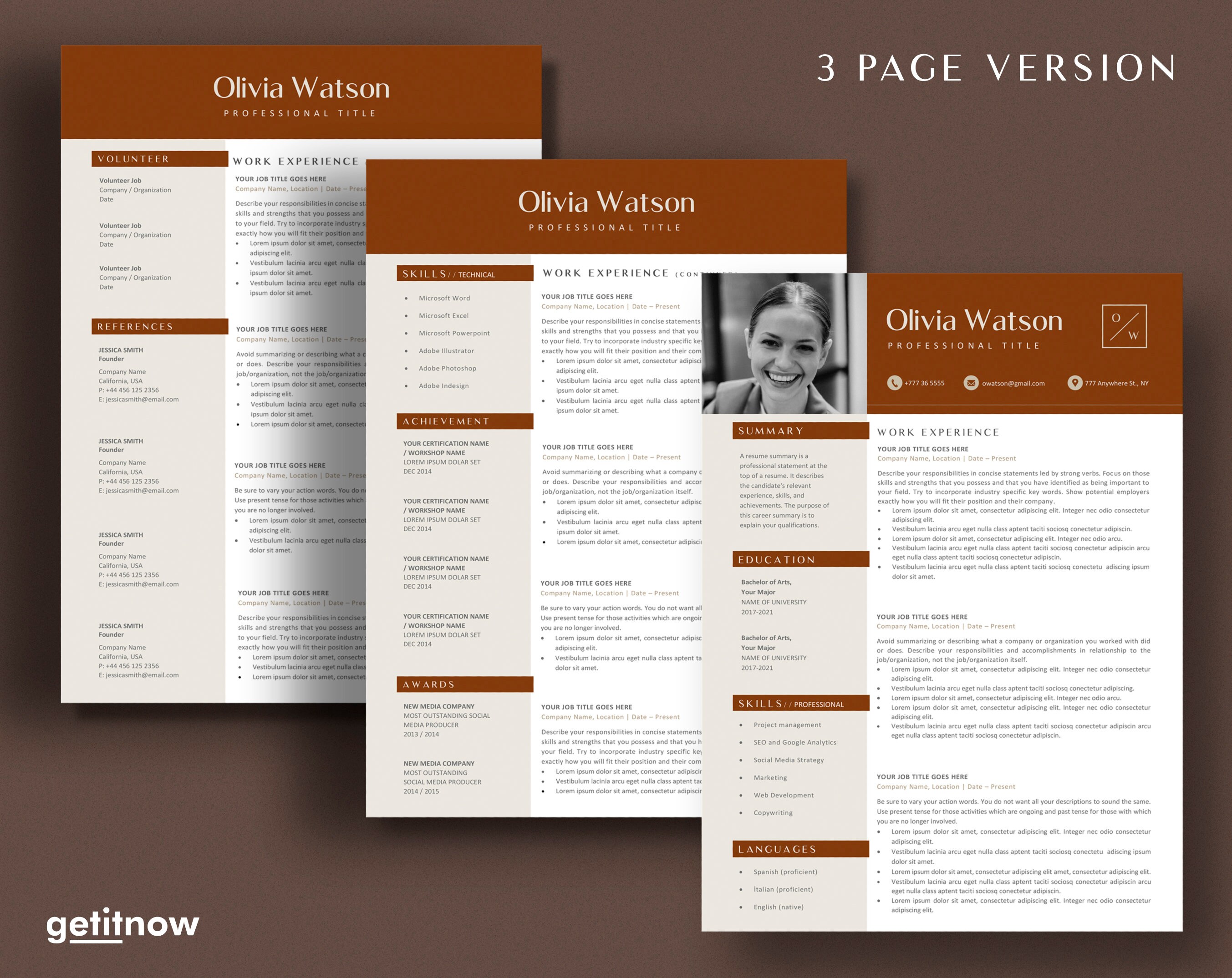 Executive Resume Template Google Docs | Modern C Level Resume Template ...