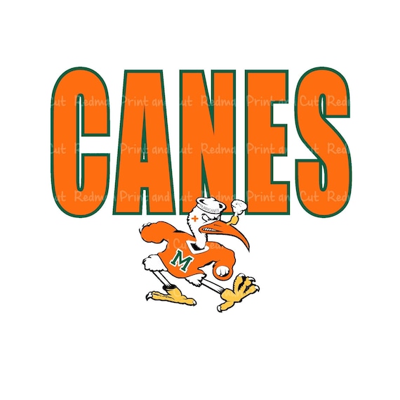 Papercraft cut file University of Miami sublimation vinyl print and cut ...