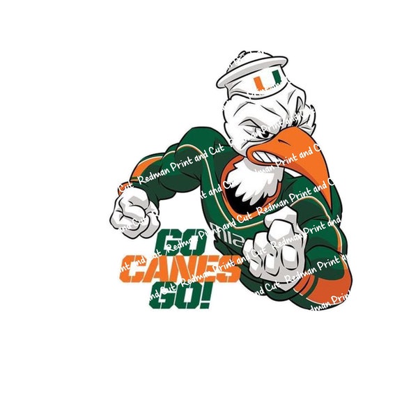 University of Miami - Etsy