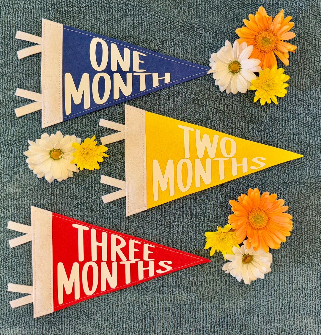 Baby Monthly Milestone Markers - Baby Milestone Pennant Flags - Baby ...