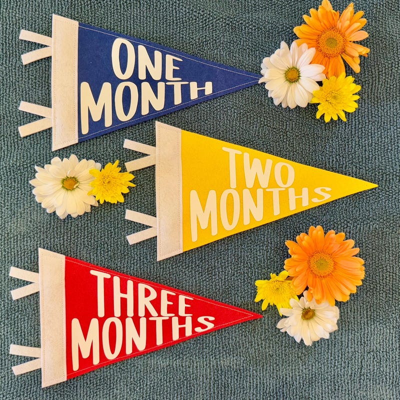 Monthly Photo Banner - Etsy
