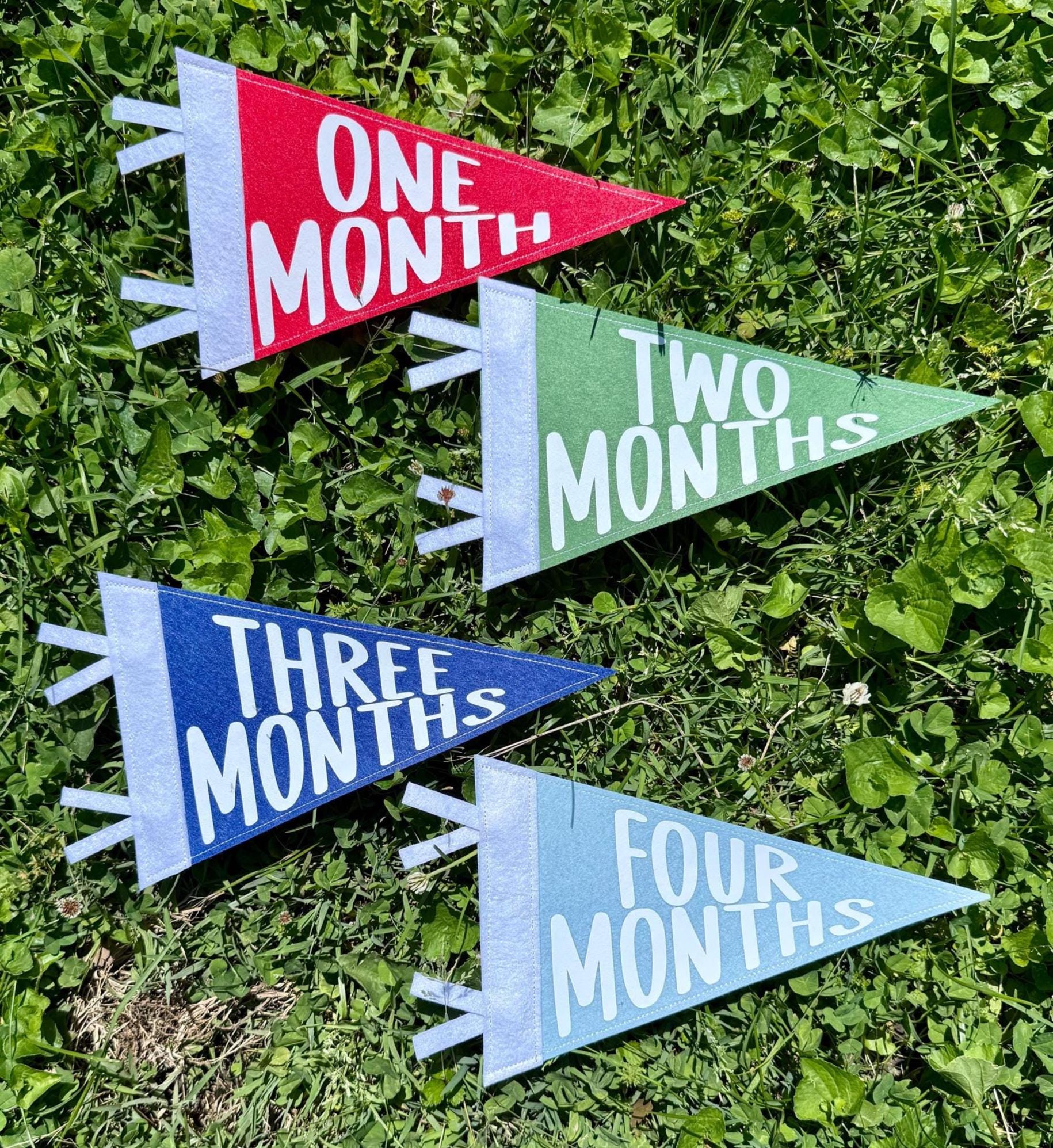 Milestone Marker Baby Monthly Banner & Pennant Flags - Photo Prop 1-12 ...