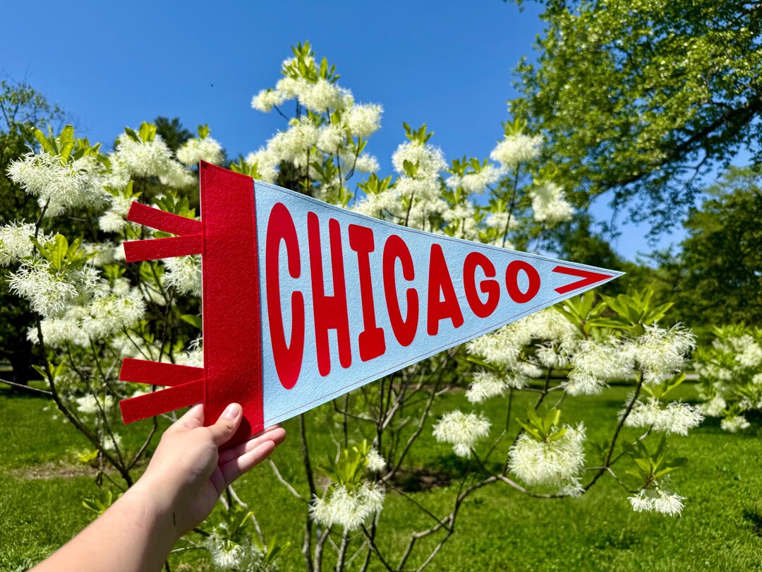 Personalized City Pennant Flag - Custom State Banner - City Pride Decor ...