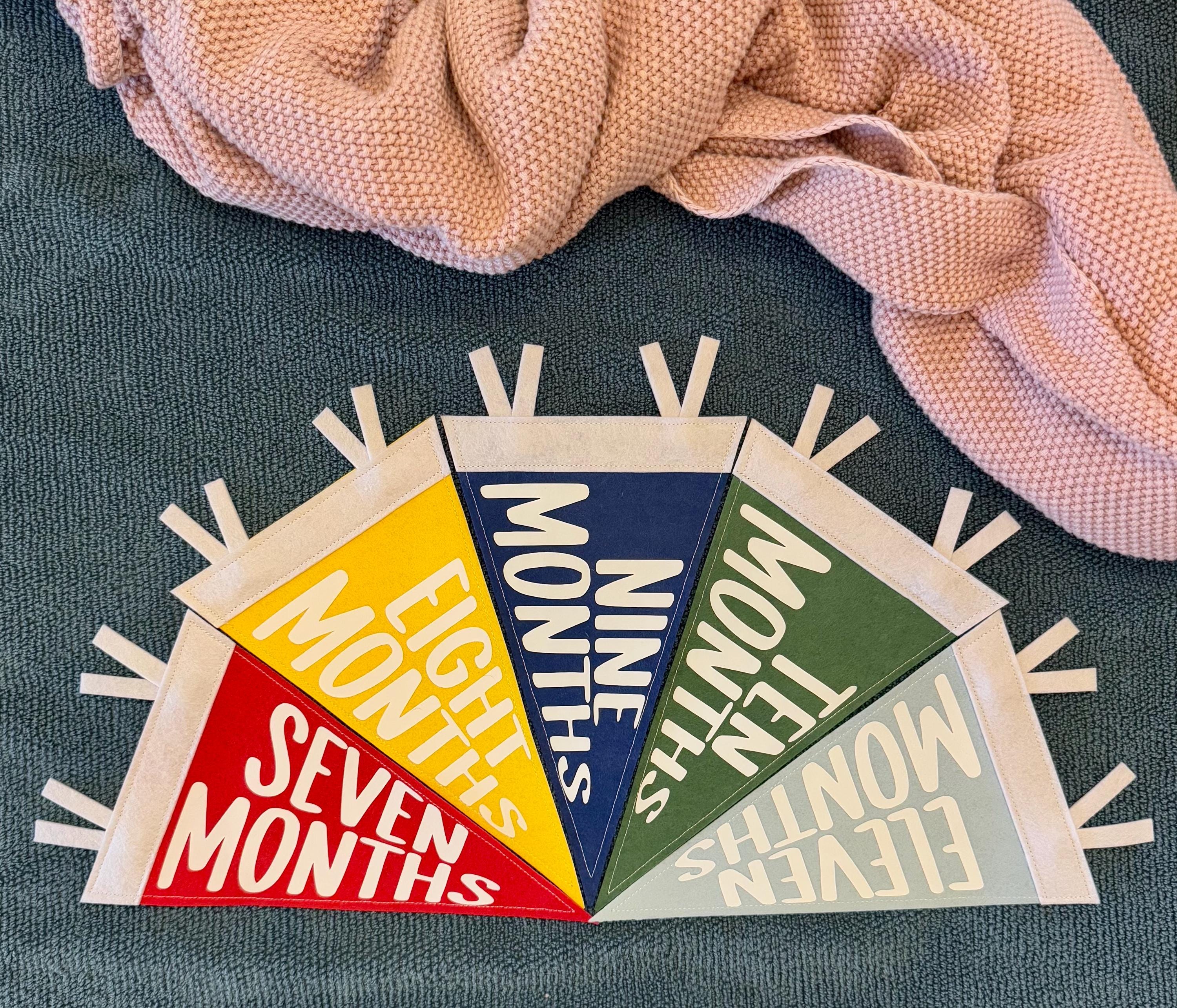 Milestone Marker Baby Monthly Banner & Pennant Flags - Photo Prop 1-12 ...