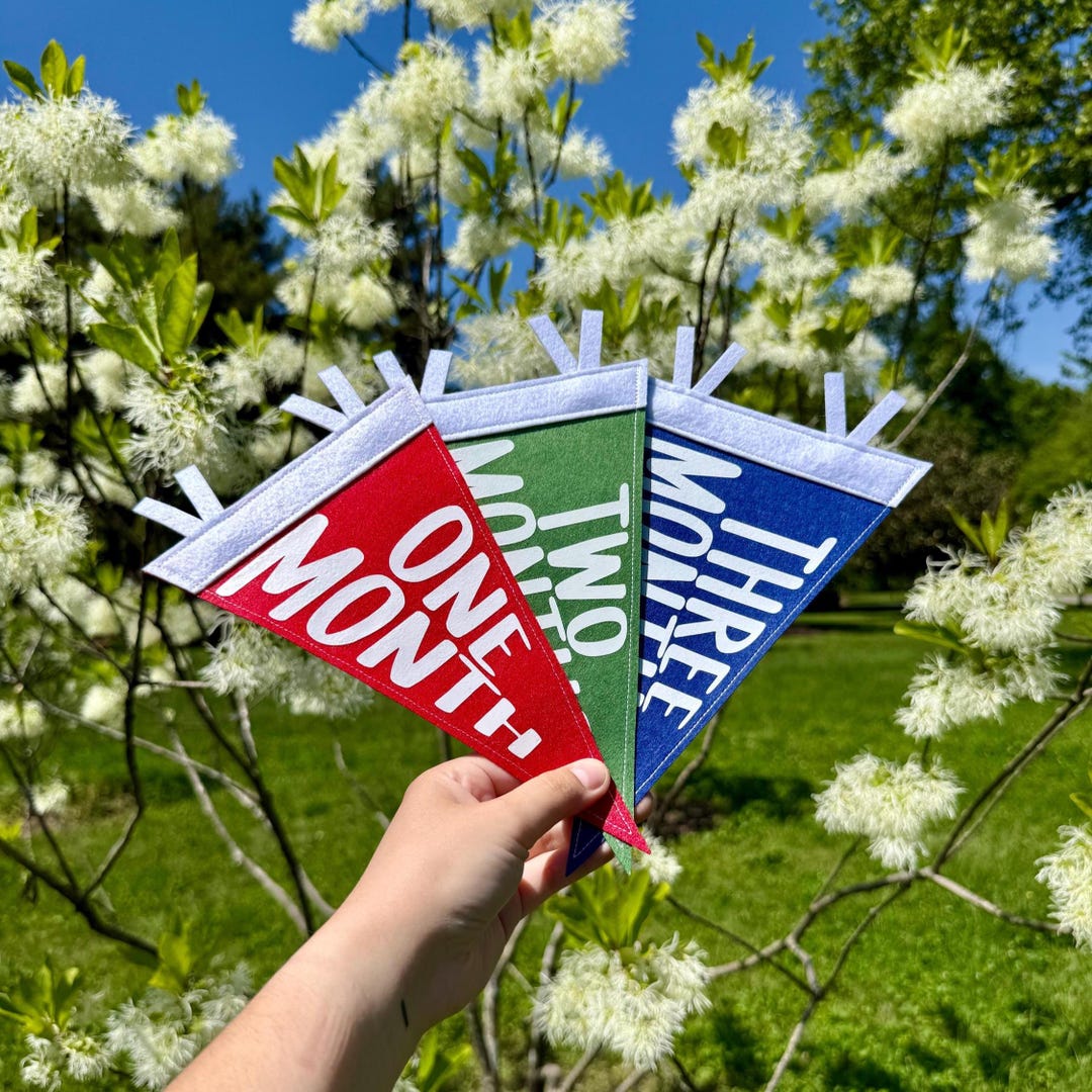 Milestone Marker Baby Monthly Banner & Pennant Flags - Photo Prop 1-12 ...