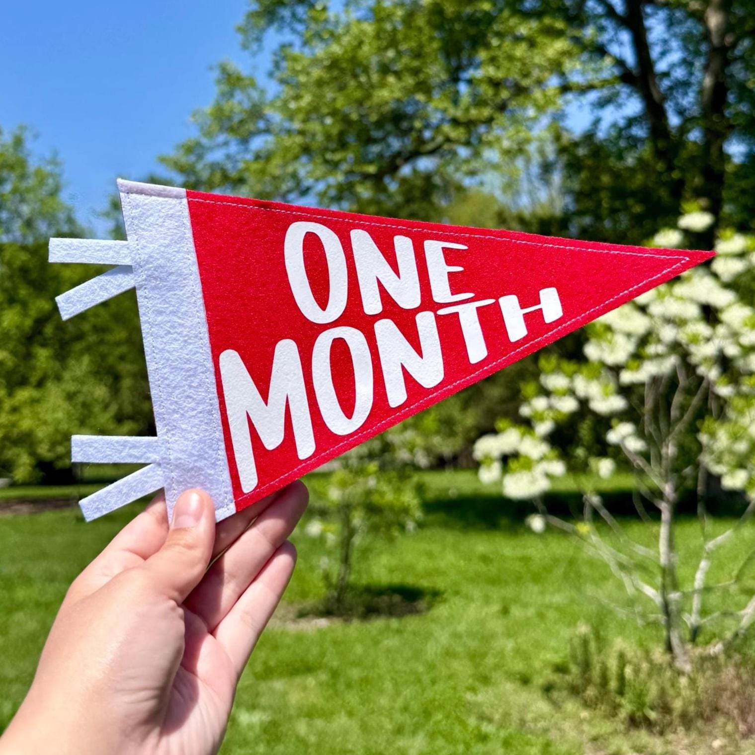 Milestone Marker Baby Monthly Banner & Pennant Flags - Photo Prop 1-12 ...