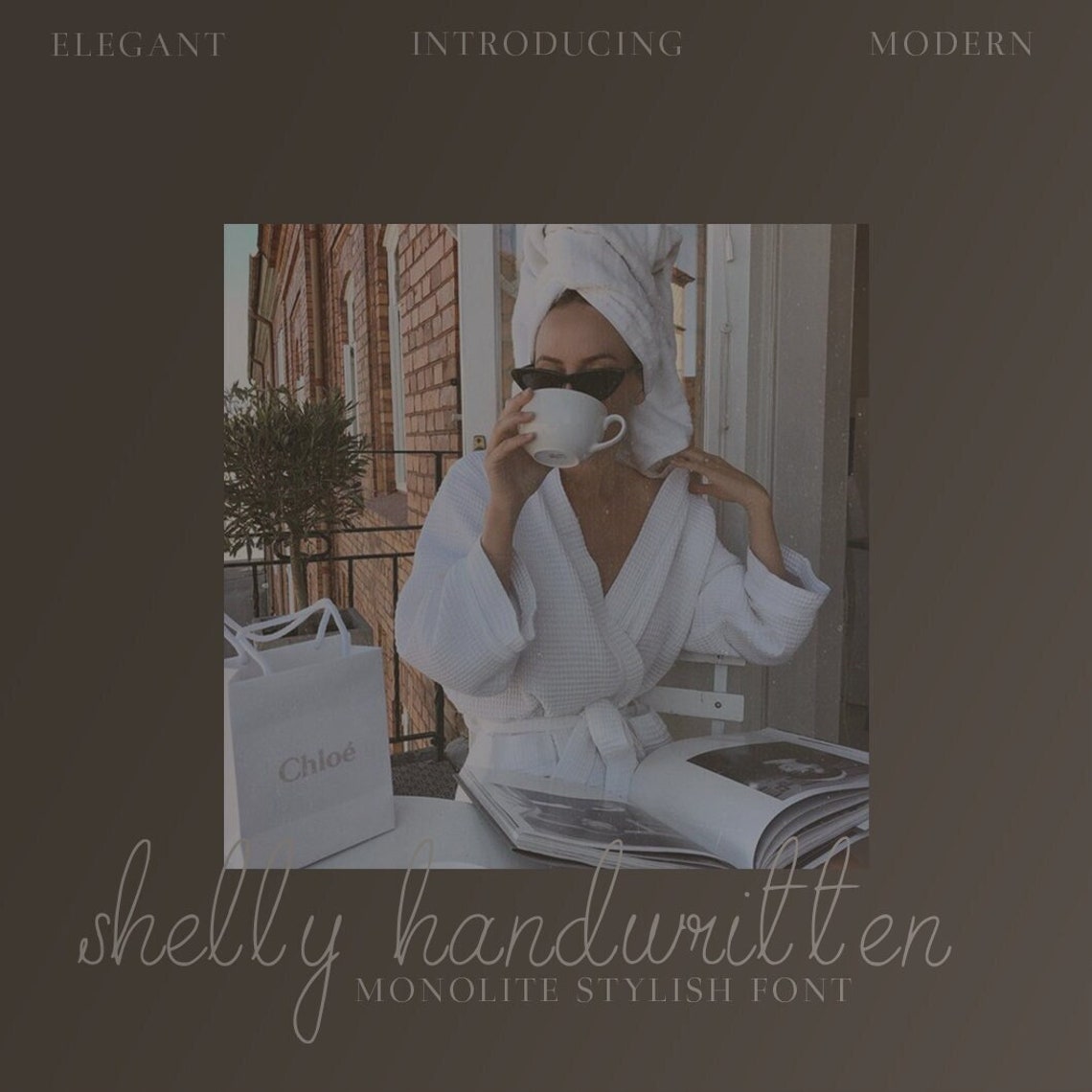 Shelly Serif Font, Modern Font, Boho Font, Branding Font, Swash Font ...