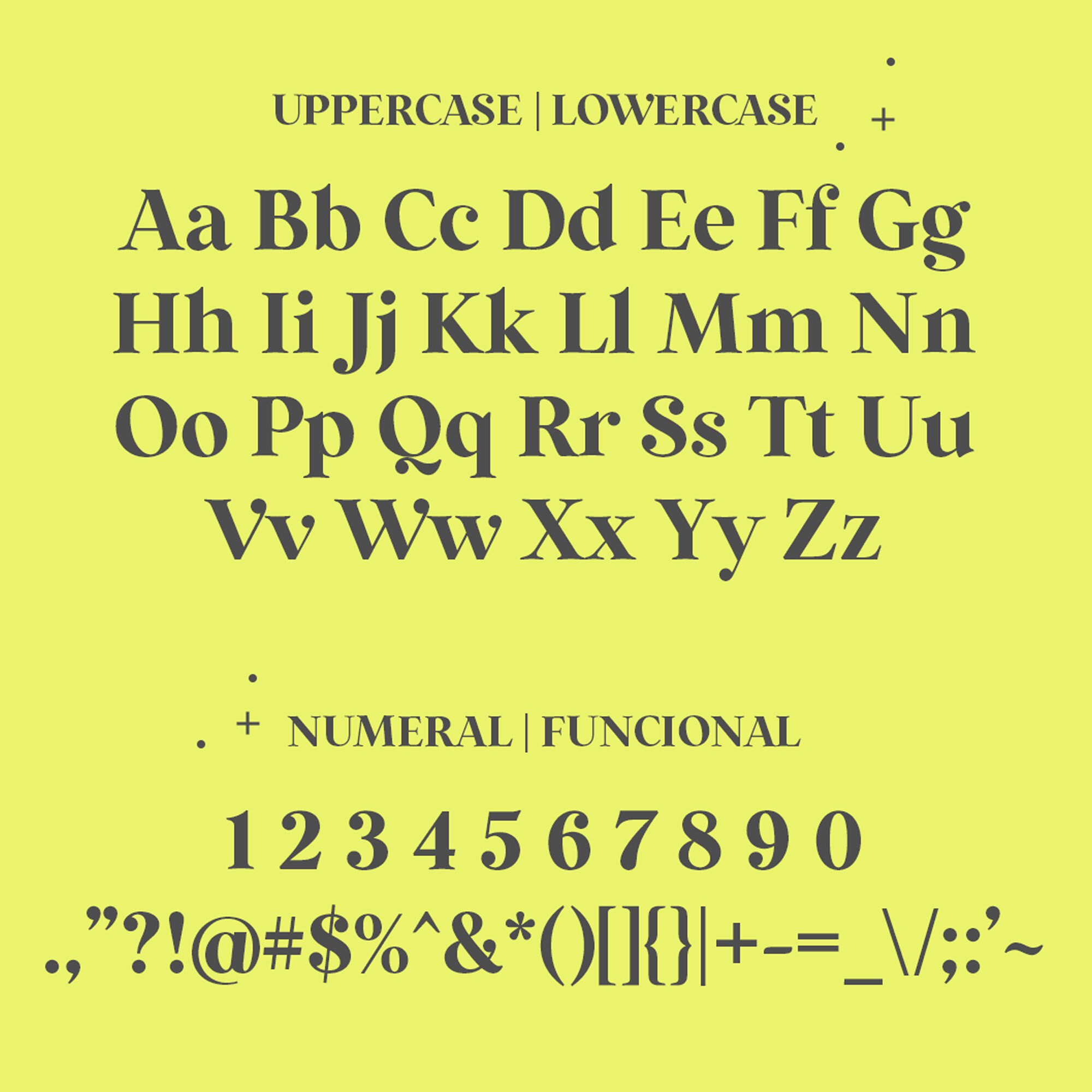 Shelby - Serif Font, Modern Font, Cricut Font, Files for Circut ...