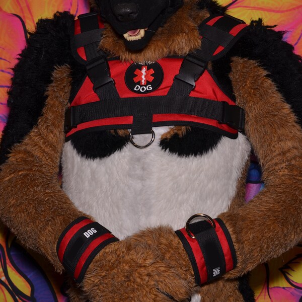 Pup Play Harness - Etsy