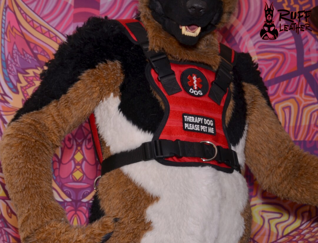 Pup Play Vest custom Order - Etsy