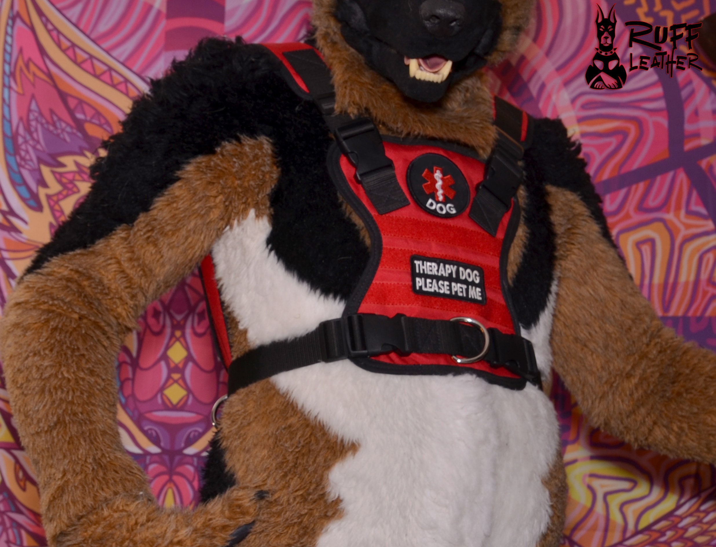 Pup Play Vest (custom Order) - Etsy