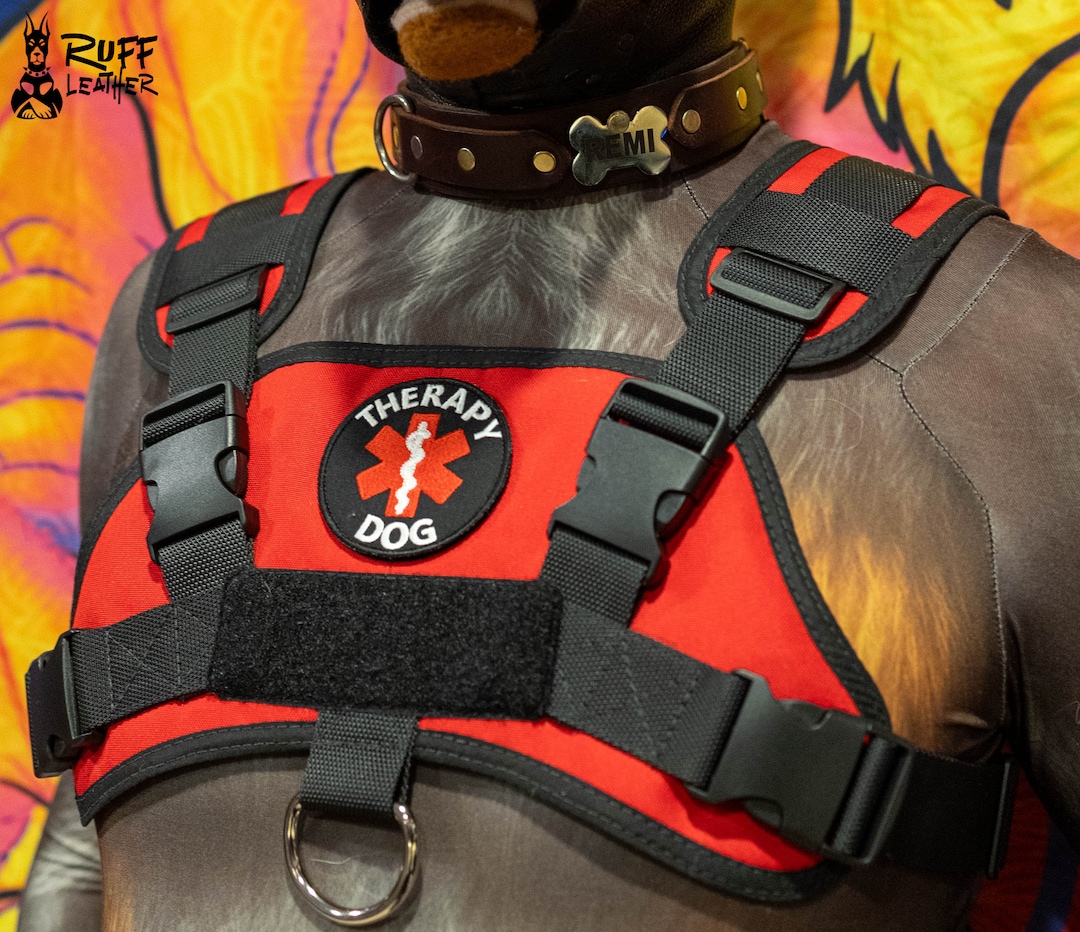 Pup Play Chest Harness Version 2 (custom Order) - Etsy