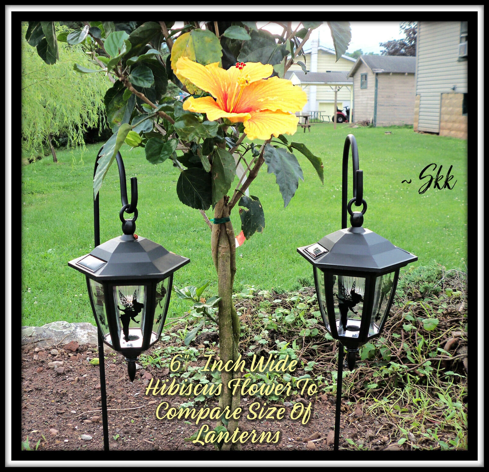 Disney Themed Tinkerbell Outdoor Solar Lantern Style 1 - Etsy