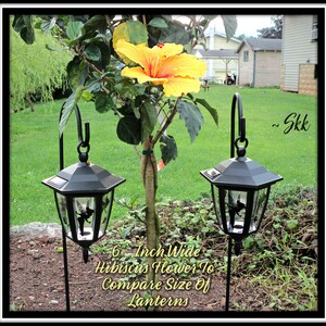 Disney Themed Tinkerbell Outdoor Solar Lantern - Style 1 - Etsy