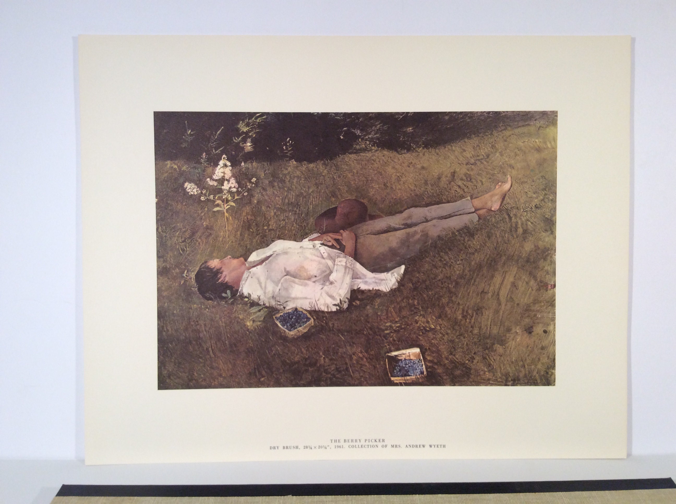 Andrew Wyeths Four Seasons A Portfolio of 12 Loose Prints of Paintings ...