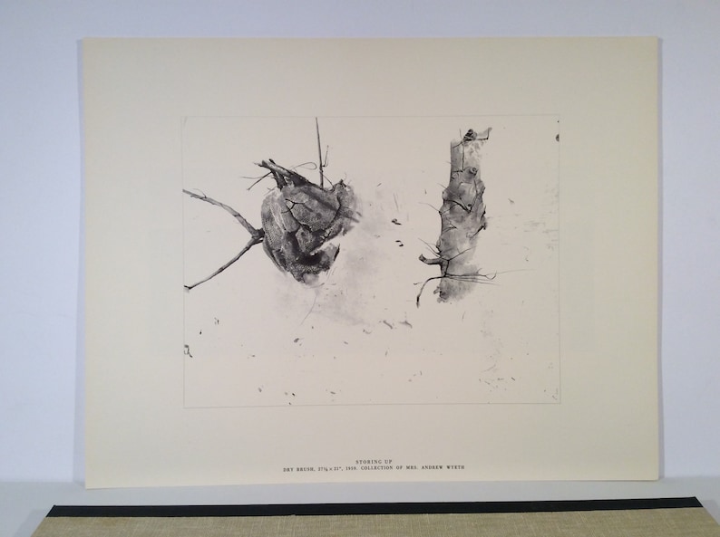 Andrew Wyeths Four Seasons A Portfolio of 12 Loose Prints of Paintings ...