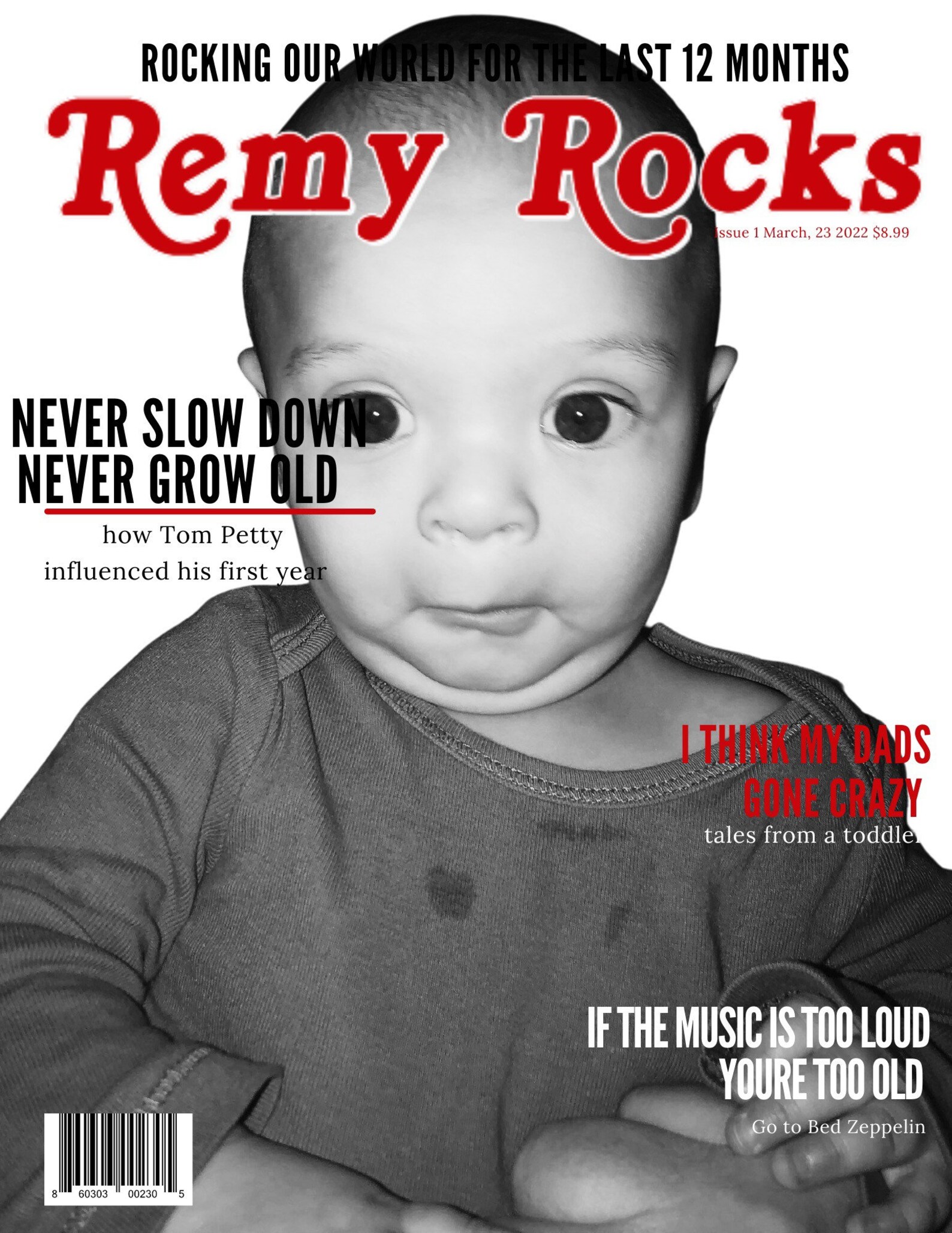 Custom Personalized ONE ROCKS Poster First Birthday PDF or Print - Etsy