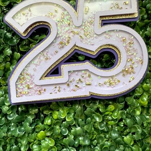 3D Custom Number Birthday Cake Topper, Personalized Age Number Birthday ...