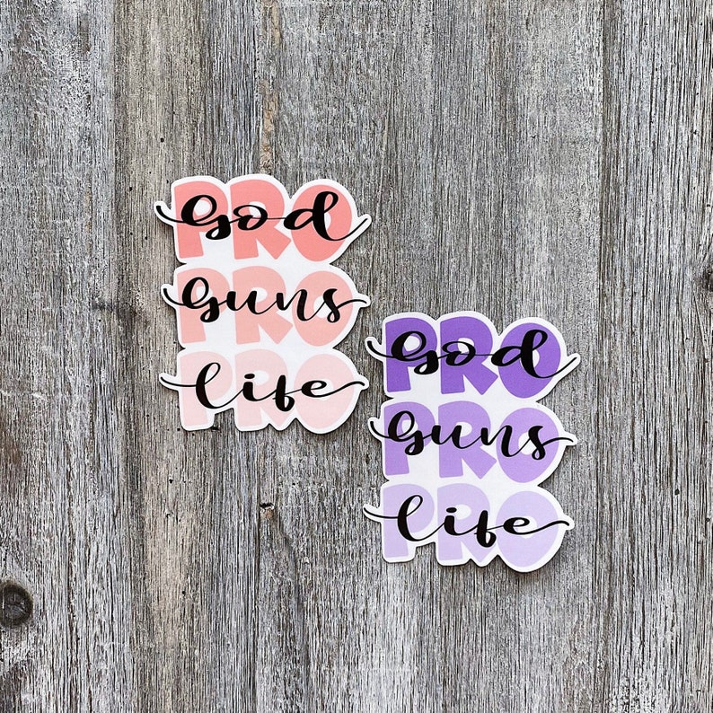 Pro God Pro Guns Pro Life Sticker / Decal / Conservative / | Etsy
