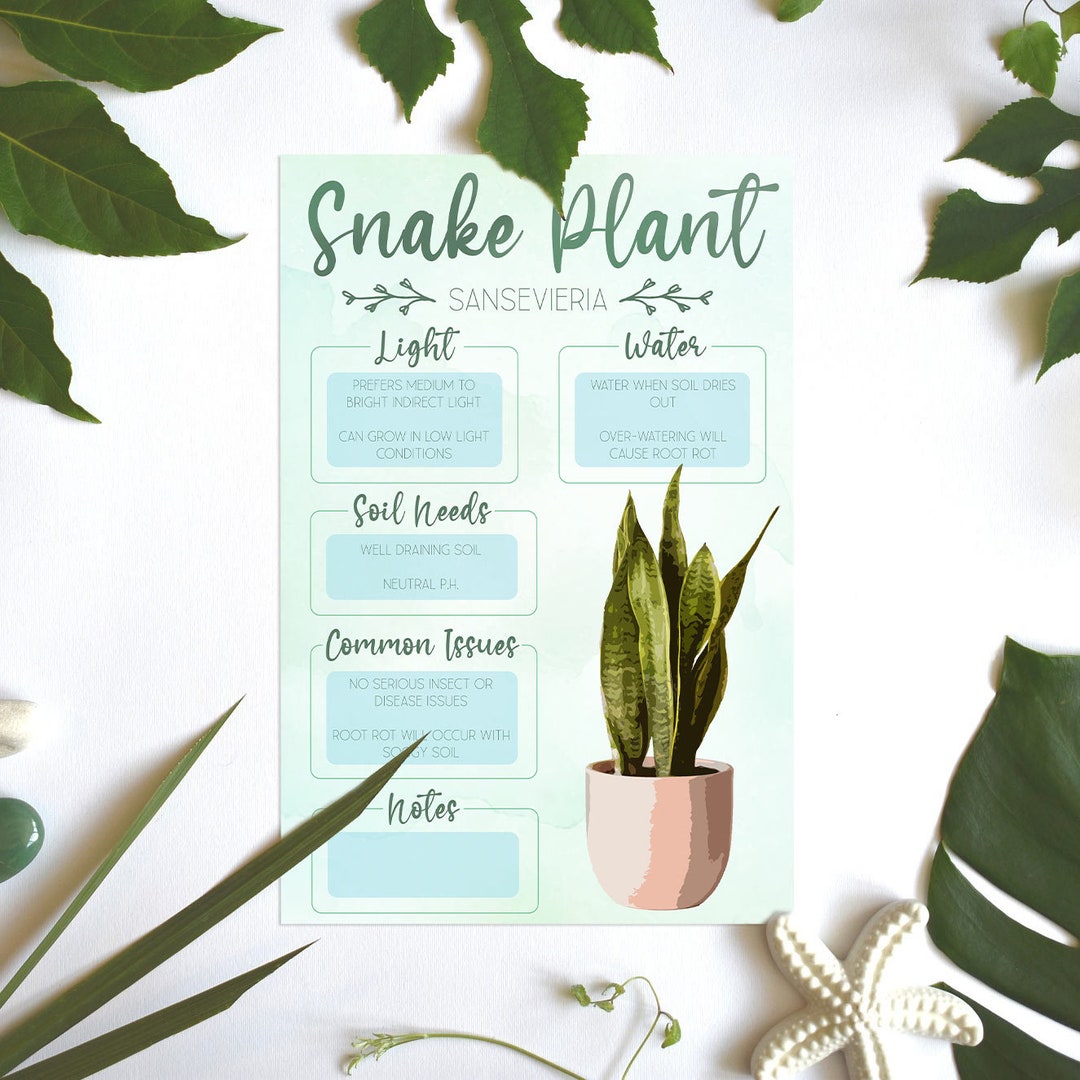Plant Care Card | Plant Needs Image | Plant Information | Snake Plant ...