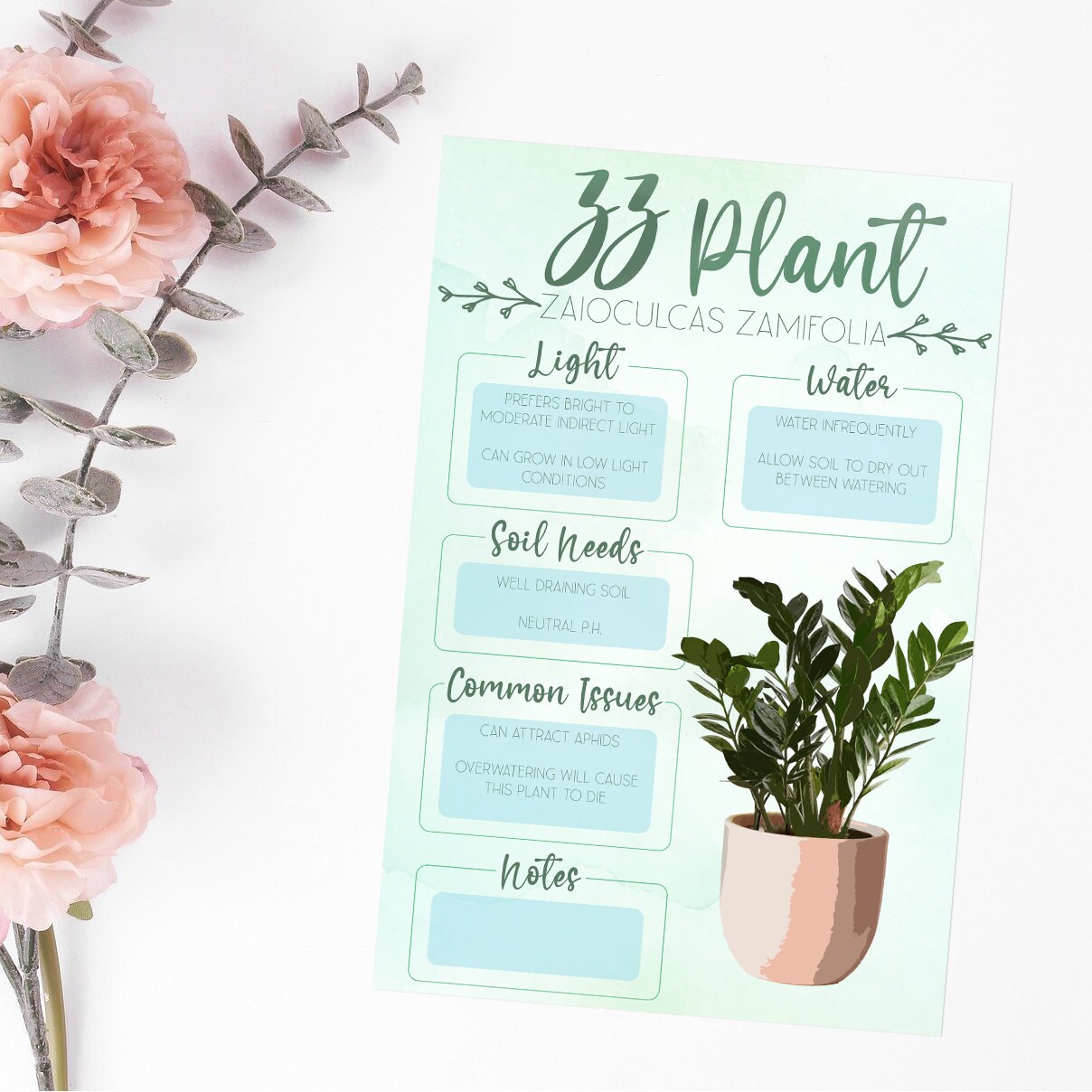 Plant Care Card | Plant Needs Image | Plant Information | ZZ Plant ...