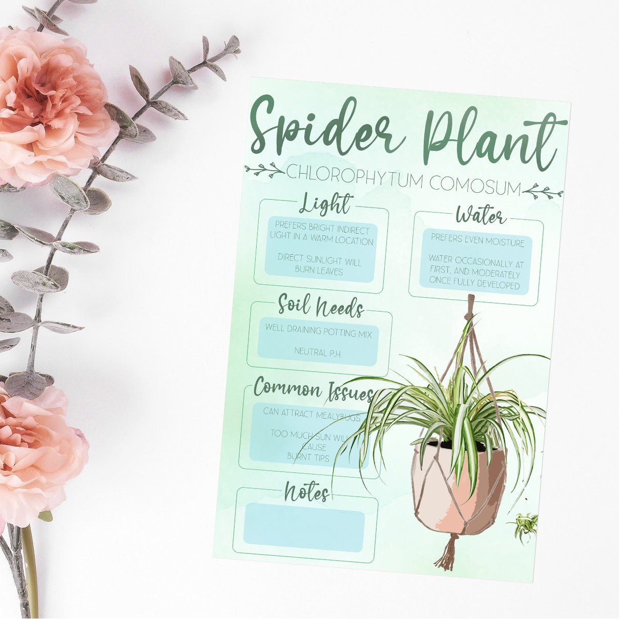 Plant Care Card | Plant Needs Image | Plant Information | Spider Plant ...