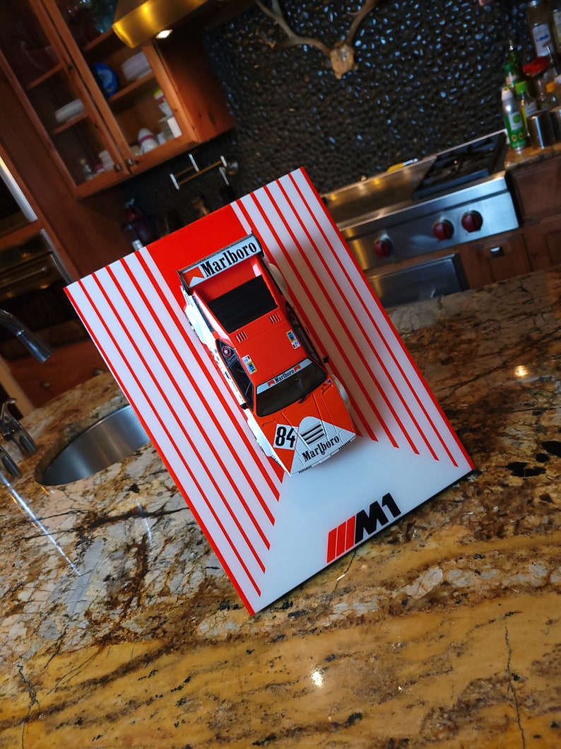 1/18 BMW M1 Procar 24 Hours of Le Mans 1980 Minichamps on A Handmade, Wall Hanging Model Mount ...