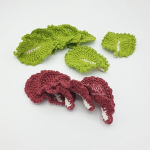 Leaf Lettuce in 3 Variations for Grocery Store Accessories | Fruit and ...