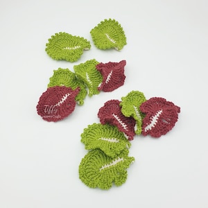 Leaf Lettuce in 3 Variations for Grocery Store Accessories | Fruit and ...