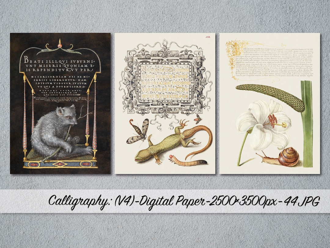 The Model Book of Calligraphy, Included Total of 44 Printable Paper ...