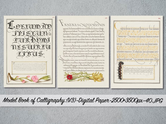 The Model Book of Calligraphy Included Total of 40 Printable - Etsy