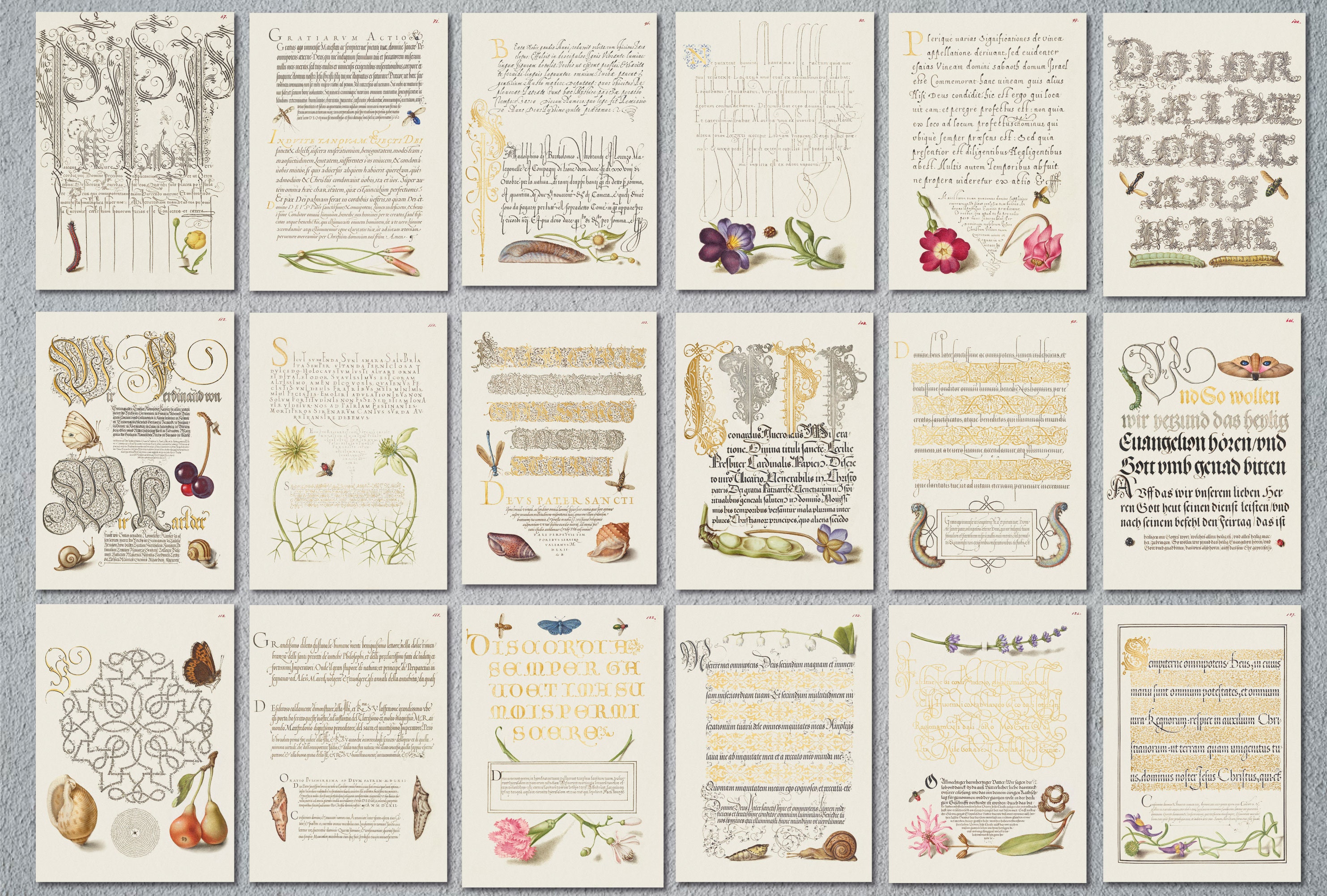 The Model Book of Calligraphy, Included Total of 40 Printable Paper ...