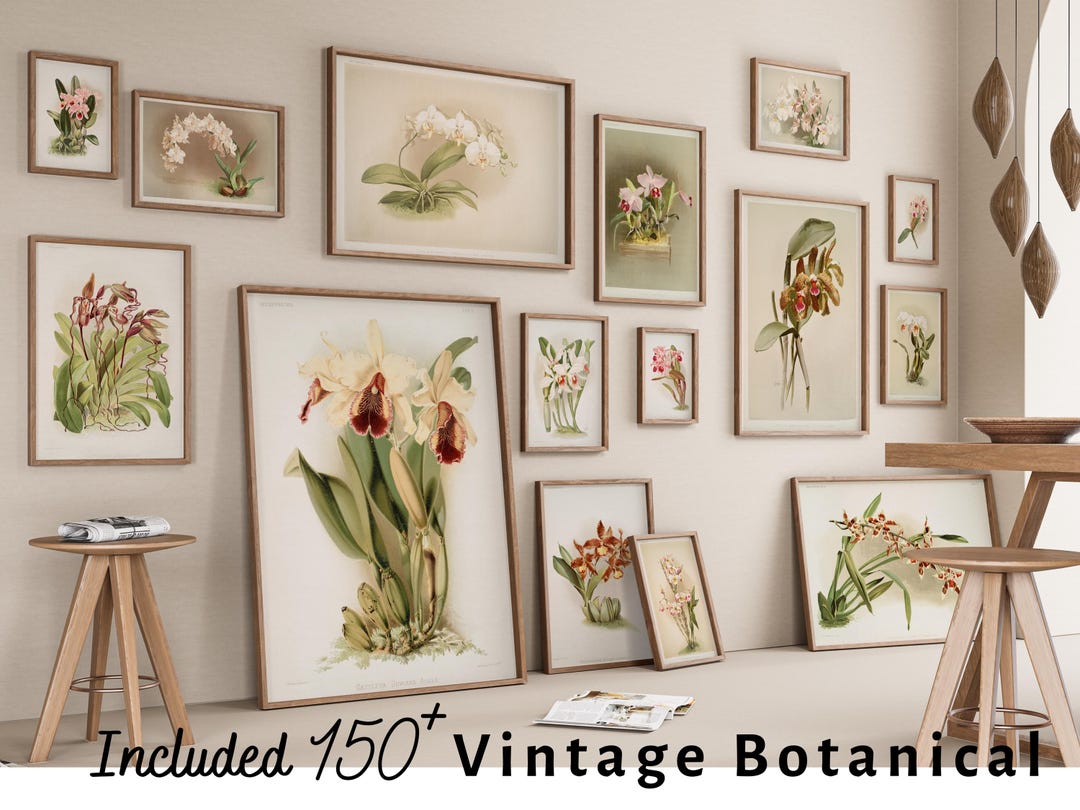 Vintage Botanical Prints,+150 Vintage Botanical,antique Orchid ...