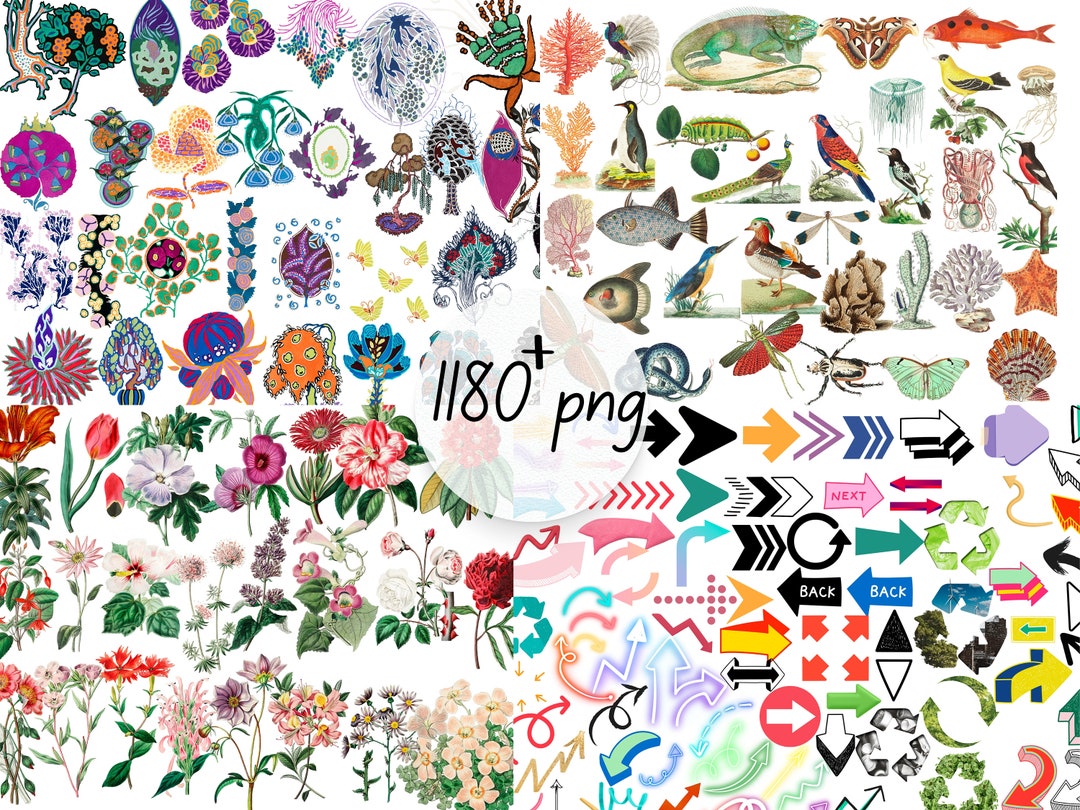 Bundle 1180+ Png, High-quality Digital Graphics, Instant Download ...