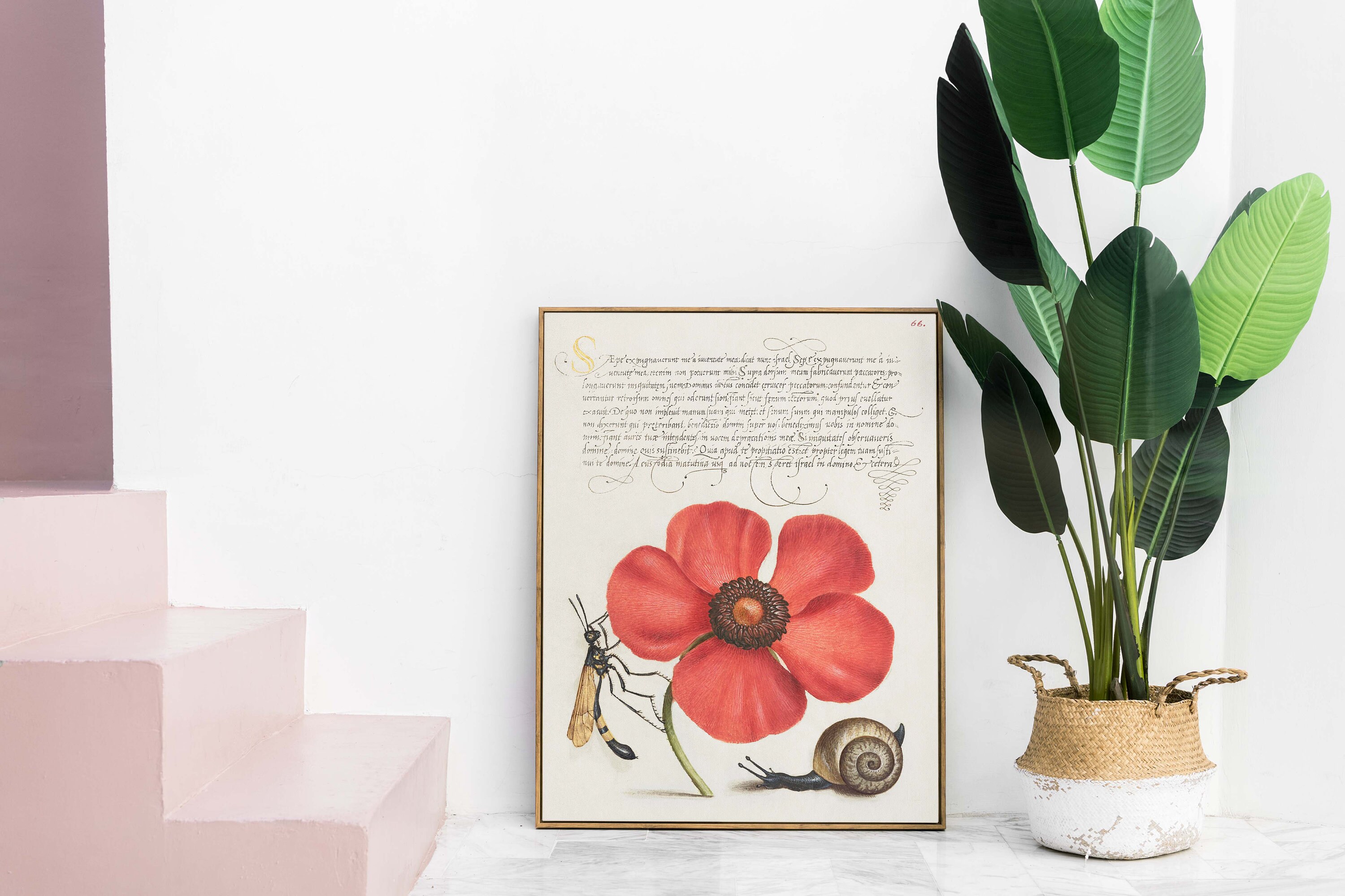 The Model Book of Calligraphy, Included Total of 30 Printable Paper ...