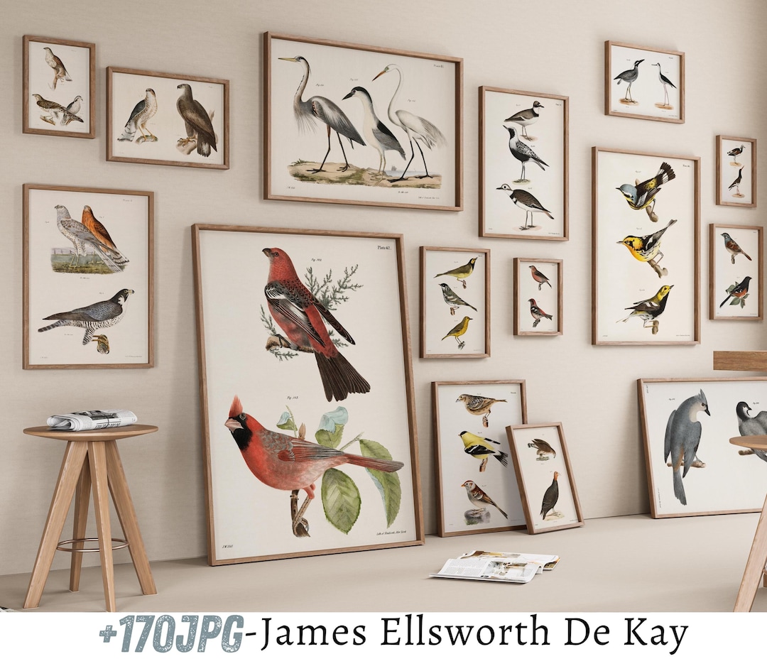 James Ellsworth De Kay Natural History Art Print - Vintage Animal ...