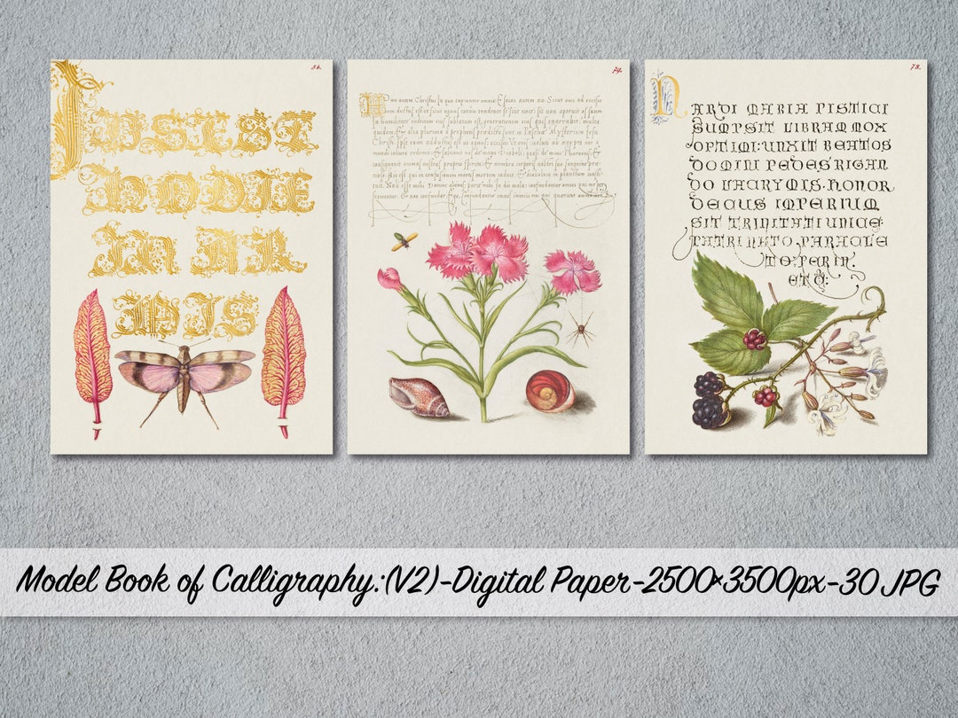The Model Book of Calligraphy, Included Total of 30 Printable Paper ...
