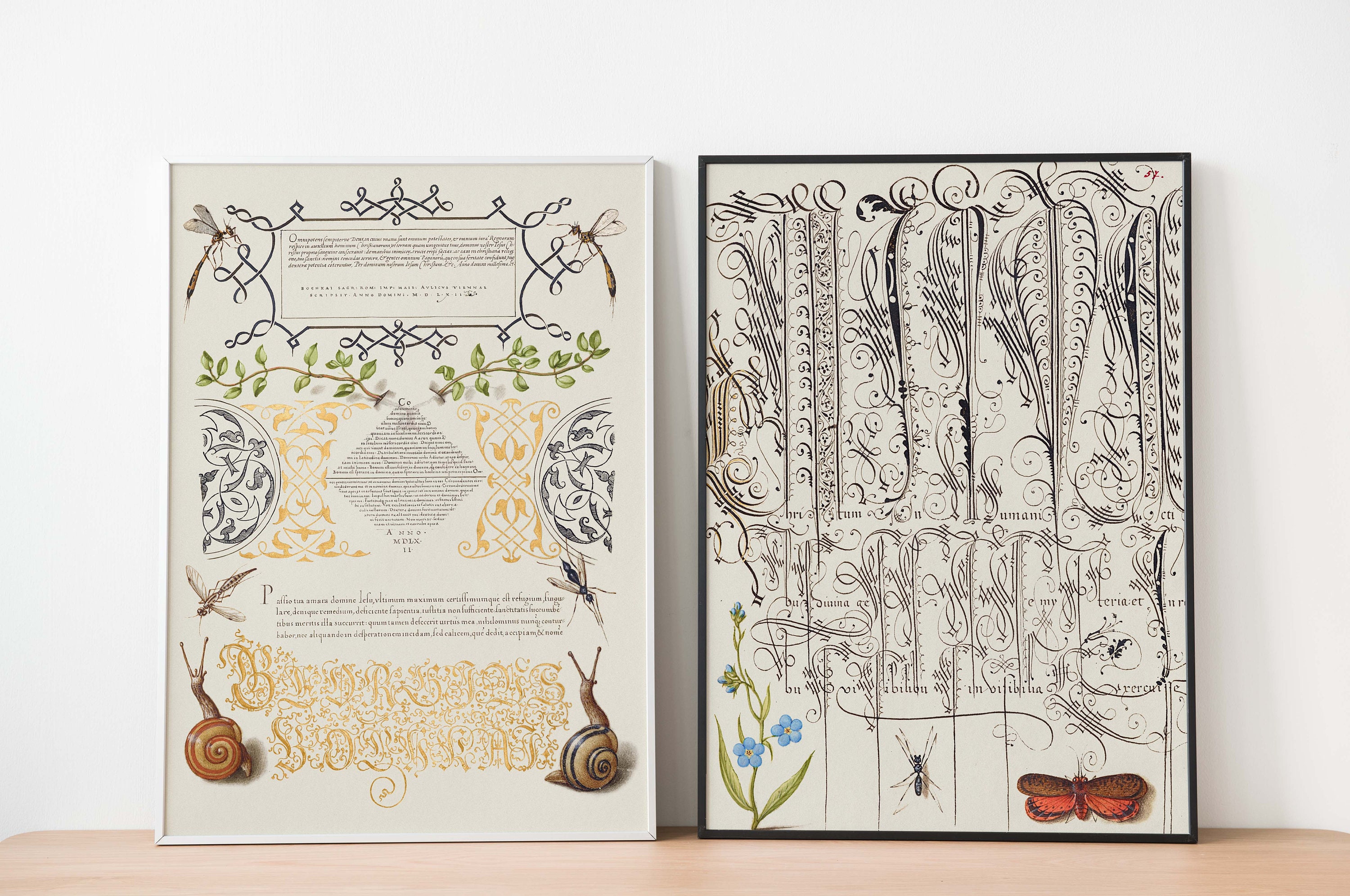 The Model Book of Calligraphy, Included Total of 40 Printable Paper ...