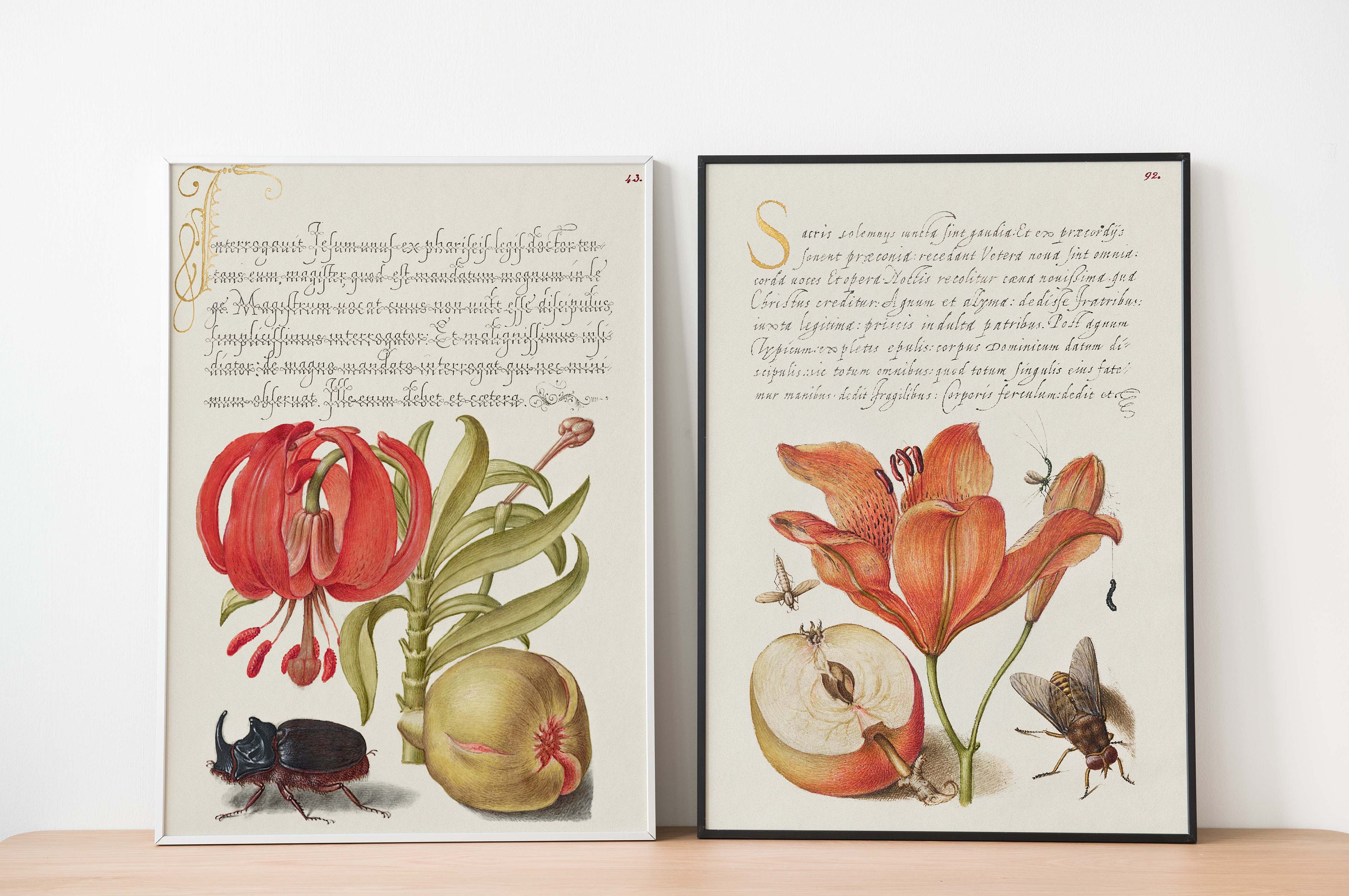 The Model Book of Calligraphy, Included Total of 30 Printable Paper ...