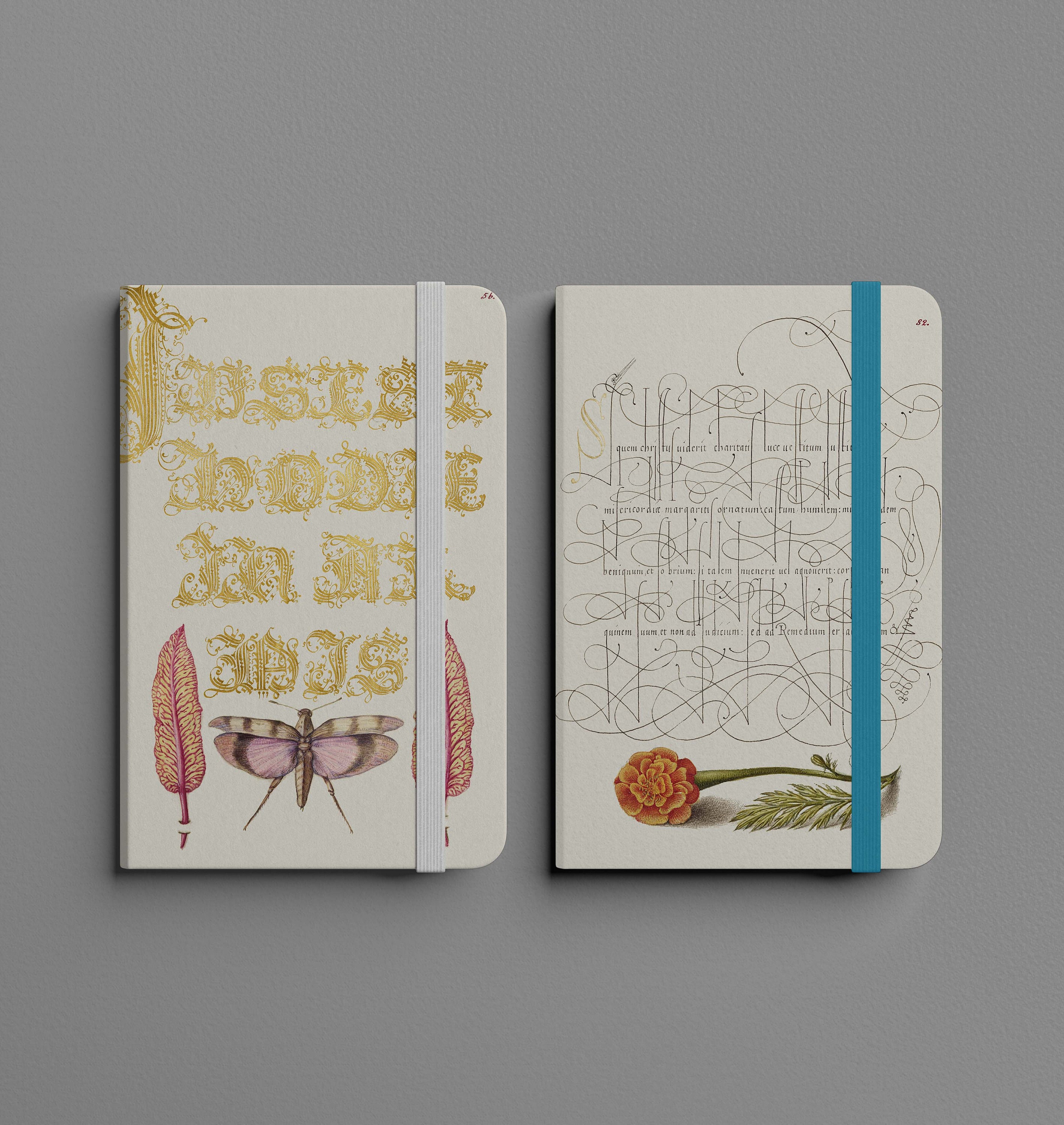 The Model Book of Calligraphy, Included Total of 30 Printable Paper ...