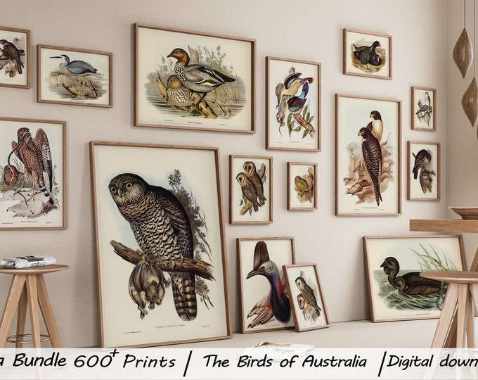 White Cockatoo Print, Australian Bird Print, Bird Photography ...