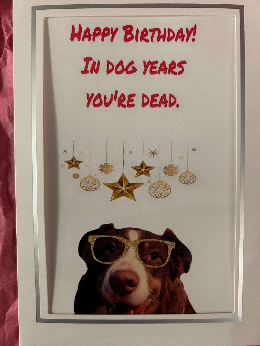 Saucy Aussie Birthday Photo Cardsblankfeaturing Sassy Aussie Rescues ...