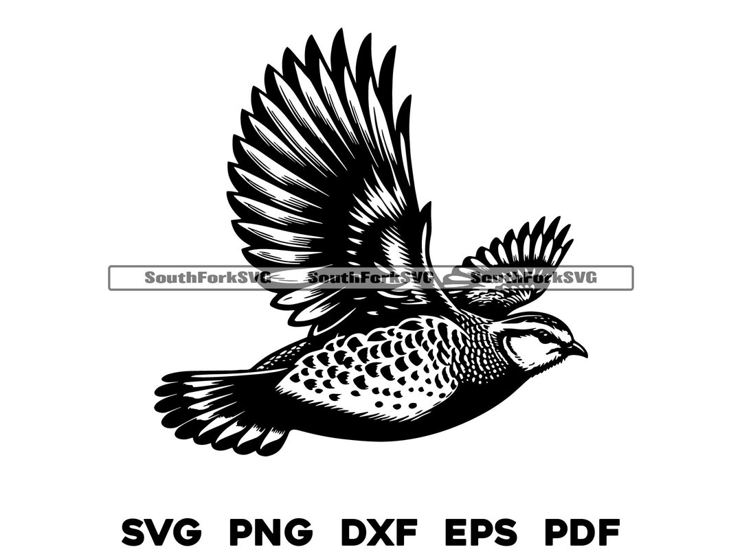 Flying Northern Bobwhite Quail Svg Png Dxf Eps Pdf | Vector Graphic ...