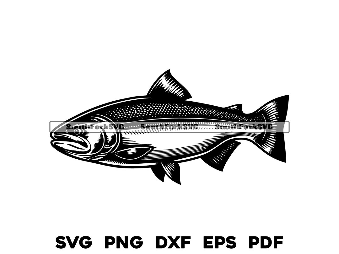 Salmon Vector Design | Svg Png Dxf Eps Pdf | Transparent Vector Graphic ...